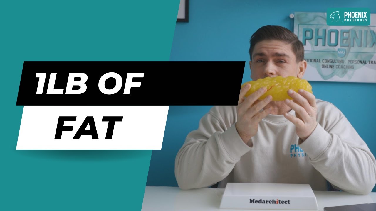 1lb of Fat - Phoenix Physiques